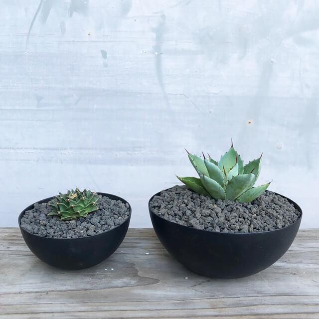 BLACK IRON POT【size:M】ブラックアイアンポット 20cm×10cm 7号 受け皿付き 鉄製 浅鉢 お椀型 シンプル ...