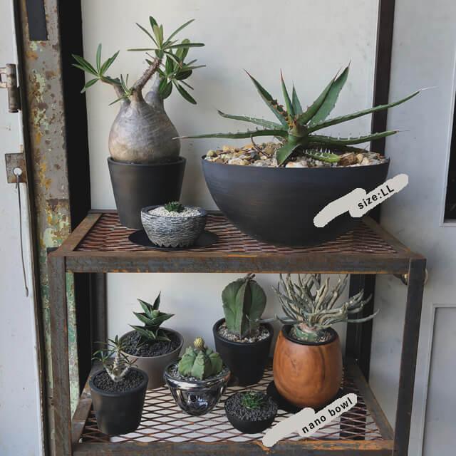 BLACK IRON POT【size:M】ブラックアイアンポット 20cm×10cm 7号 受け皿付き 鉄製 浅鉢 お椀型 シンプル ...