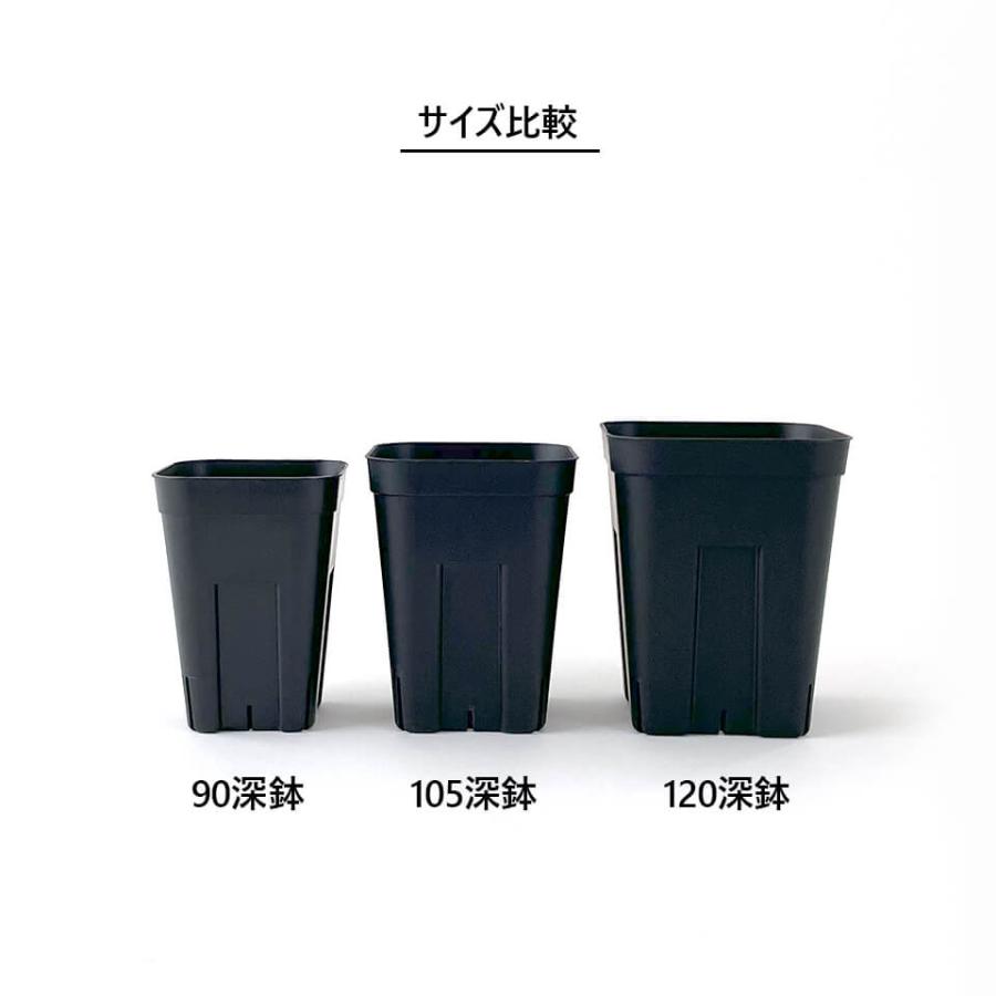 単品】プレステラ【 深鉢105 】 92mm×120mm 3号 単品 黒 長鉢 単品】プレステラ【 深鉢105 】 92mm×120mm 3号 単品 黒 長鉢