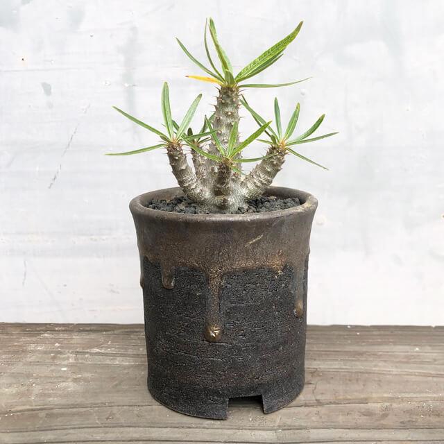 KAMIYAMA ZUNDO POT【ブラック 4号】12cm×12cm かみ山陶器 植木鉢 寸胴 信楽焼 シリンダー 底穴大きい おしゃれ ...