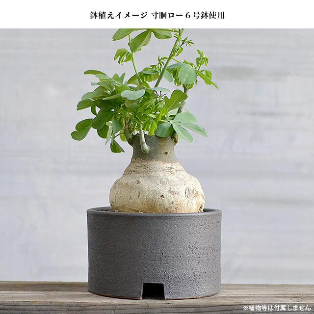 KAMIYAMA ZUNDO LOW POT【ブラック 6号】18cm×10.5cm かみ山陶器 植木鉢 寸胴 ロー 信楽焼 浅鉢 底穴大きい ...