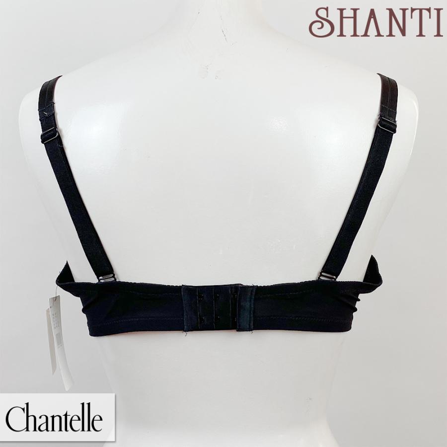 Chantelleシャンテル SUBLIME モールドパテッドブラジャー E75(フランスサイズ90E）Chantelle-SUBULIME ...