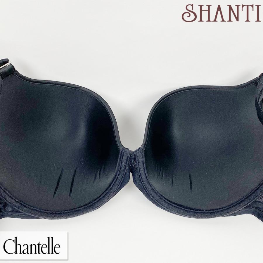 Chantelleシャンテル SUBLIME モールドパテッドブラジャー E75(フランスサイズ90E）Chantelle-SUBULIME ...