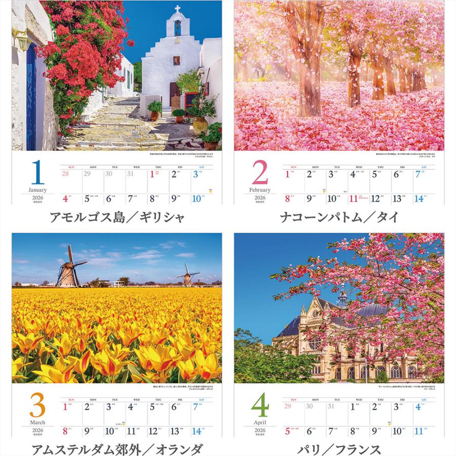 写真工房 写真工房カレンダー | 世界一美しい花風景を散歩する 2026 カレンダー 壁掛け 風景 【透明ホルダー付 300×420】スマホ壁紙12枚付 YA-03 : 風景カレンダーの写真 ...