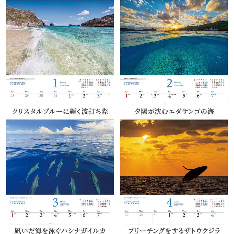 写真工房 『 小笠原諸島 』2026年 カレンダー 壁掛け 風景 【紙ホルダー付 300×400】 スマホ壁紙12枚付 YC-03 : 風景カレンダーの写真工房ストア - 通販 - Yahoo ...
