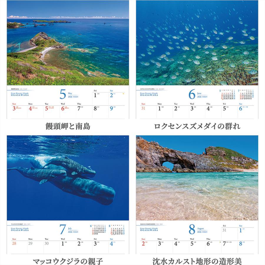 写真工房 『 小笠原諸島 』2026年 カレンダー 壁掛け 風景 【紙ホルダー付 300×400】 スマホ壁紙12枚付 YC-03 : 風景カレンダーの写真工房ストア - 通販 - Yahoo ...