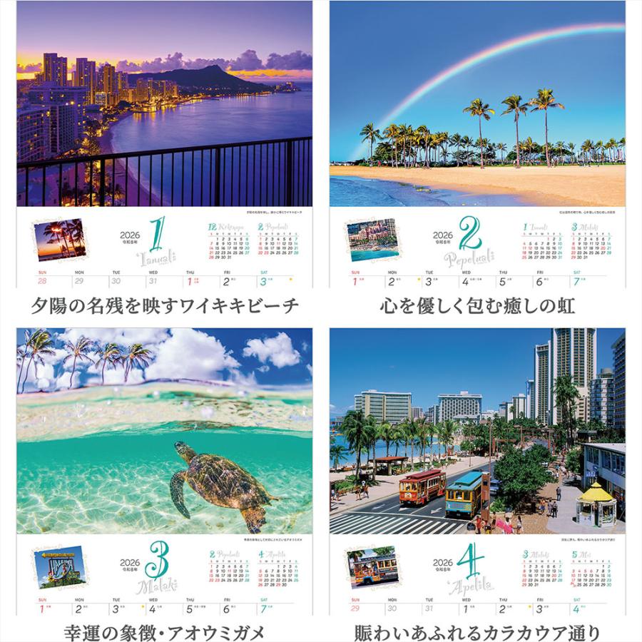 写真工房 『 ハワイが好き！オアフの休日 』2026年 カレンダー 壁掛け 風景 【紙ホルダー付 300×400】 スマホ壁紙12枚付 YC-04 : 風景カレンダーの写真工房ストア - 通販 ...