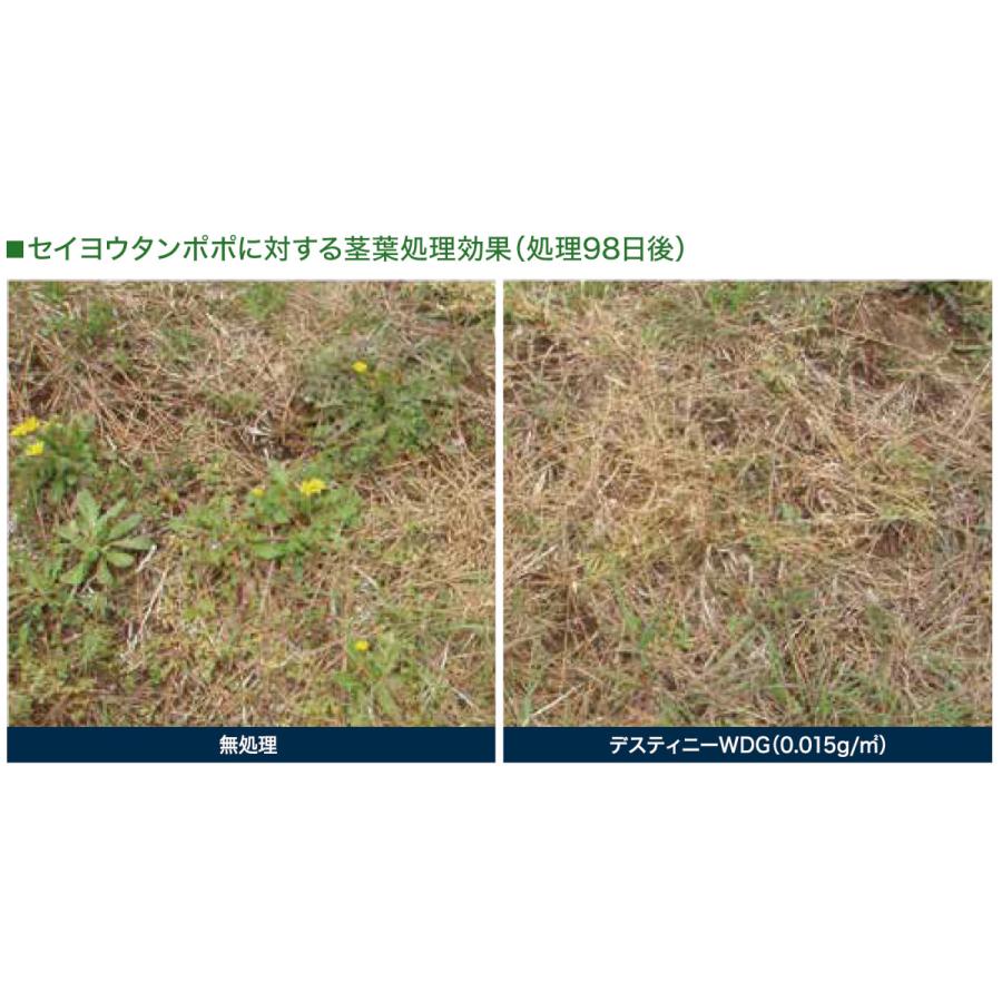芝用 除草剤 ディスティニーWDG 100g 芝生 雑草 対策 イネ科 カヤツリ科 : 芝草ドットコム商店 - 通販 - Yahoo!ショッピング