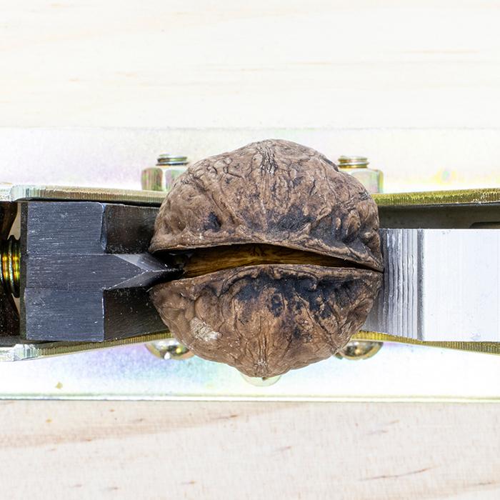 くるみ割り器 KJ-281 (株)コジマ 銀杏割り : 七福ツール Yahoo!店 - 通販 - Yahoo!ショッピング