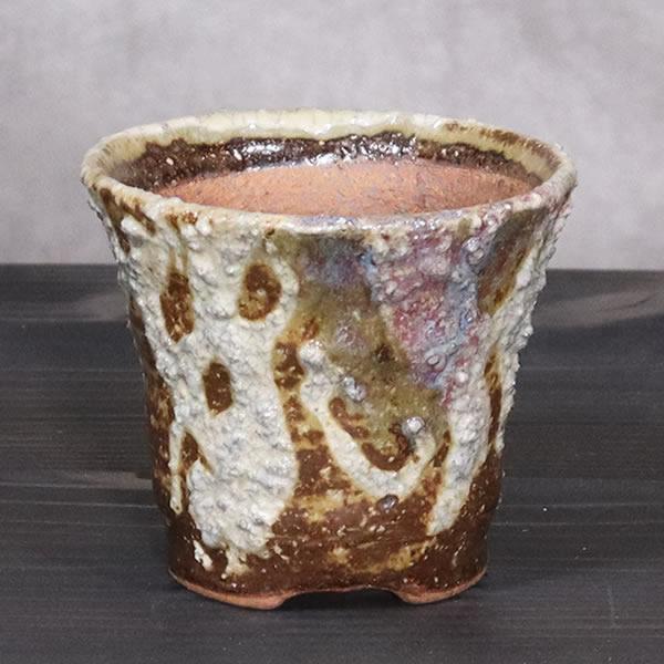 山野草鉢 信楽焼 手づくり 山草鉢 鉢 山草 コケ玉 手作り 植木鉢 陶器 塊根植物 しがらき 多肉植物 サボテン 多肉 サボテン鉢 奥田康人作 sa-0363 : しがらき - 通販 ...