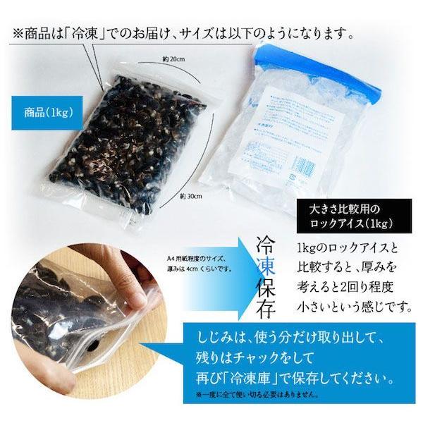 島根県・宍道湖産冷凍しじみ Lサイズ 1kg(1キロ)送料無料 砂 島根県・宍道湖産冷凍しじみ Lサイズ 1kg(1キロ)送料無料 砂