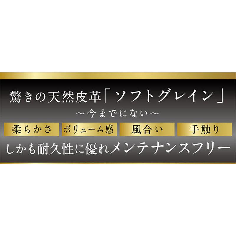 カリモク家具 【地域限定】【カリモク】 2.5人掛けソファ カリモク家具 【地域限定】【カリモク】 2.5人掛けソファ