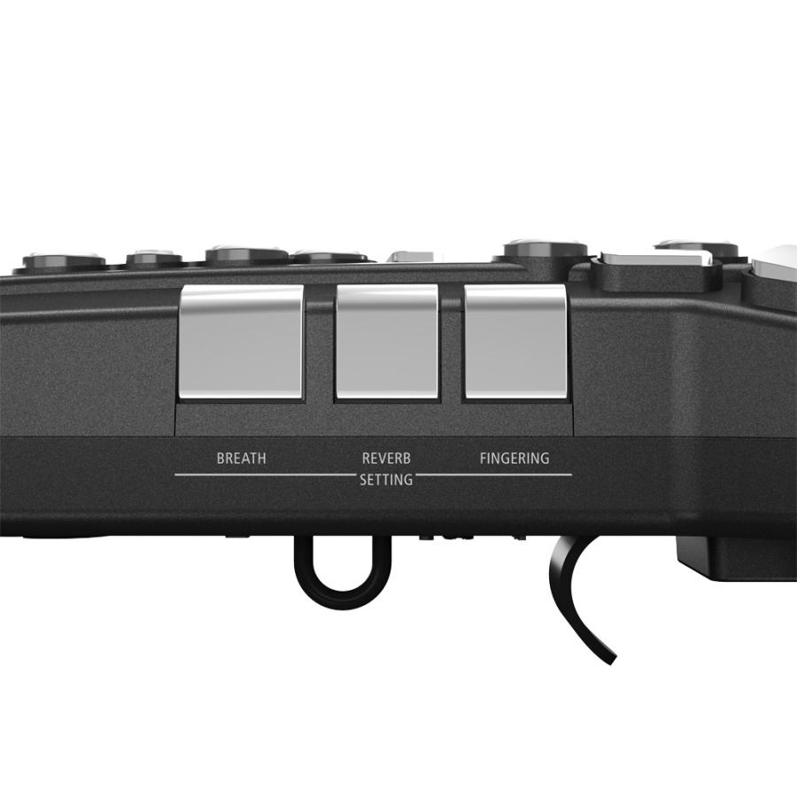 ローランド Roland Aerophone GO AE-05 + ヘッドホン 交換用マウスピース(ハードタイプ)セット Bluetooth ...