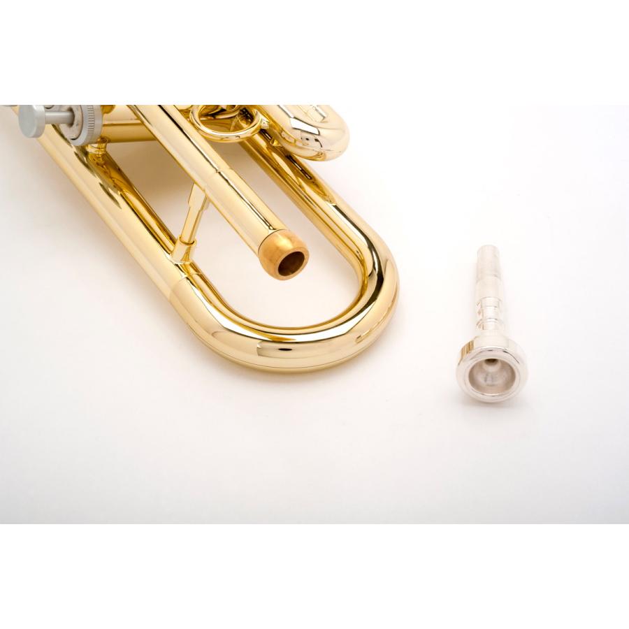 pInstruments ピーインストゥルメンツ pTrumpet hyTech ゴールド プラスチックトランペット : mt0083248 : 島村楽器Yahoo!店 - 通販 ...