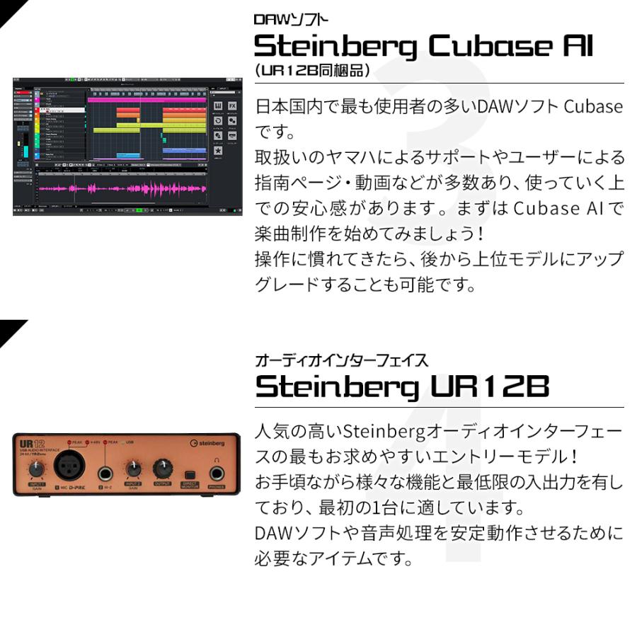 AH-Software Kevin Synthesizer V AI お手軽スターターセット 英語ライブラリ B6075 (D2R ...