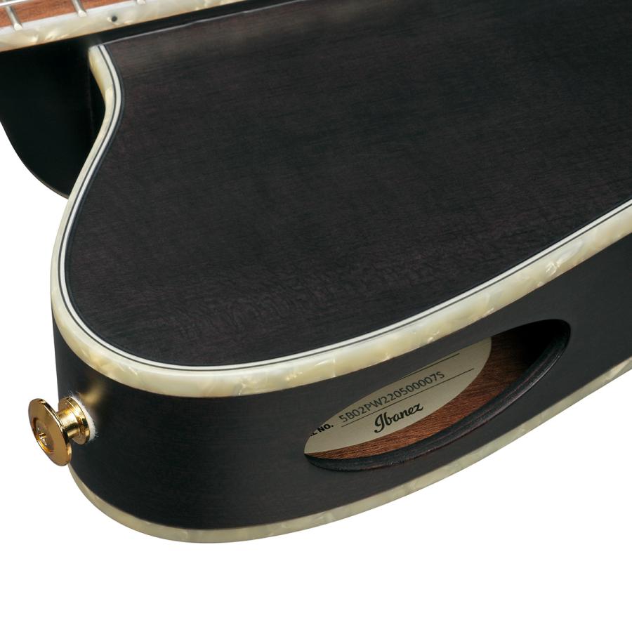 Ibanez アイバニーズ TOD10N TKF エレガット Tim Henson Signature ティムヘンソン シグネチャー エレアコ ...