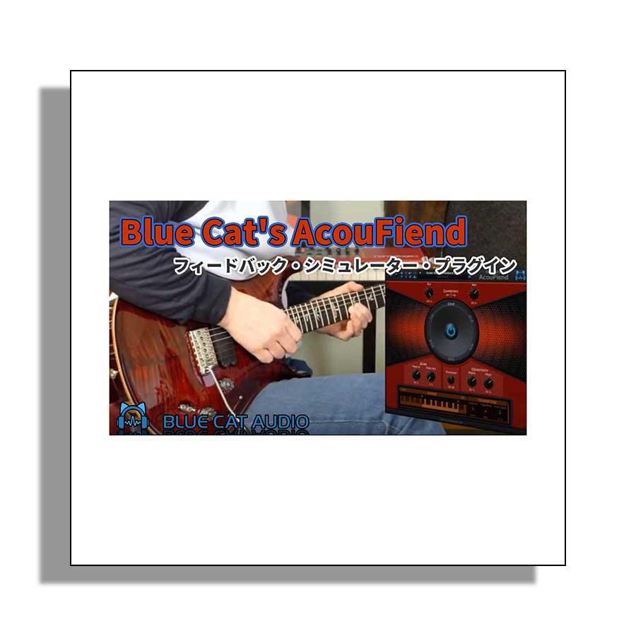 0000 Blue Cat Audio Cat's AcouFiend ブルーキャットオーディオ[メール納品 代引き不可] : 島村楽器Yahoo!店 - 通販 - Yahoo!ショッピング