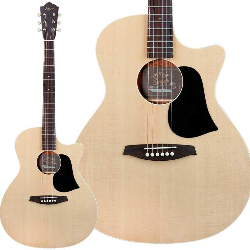 aNueNue アヌエヌエ GA01 アコースティックギター トップ単板 グランドオーディトリアム ケース付属 Singer Guitars ...