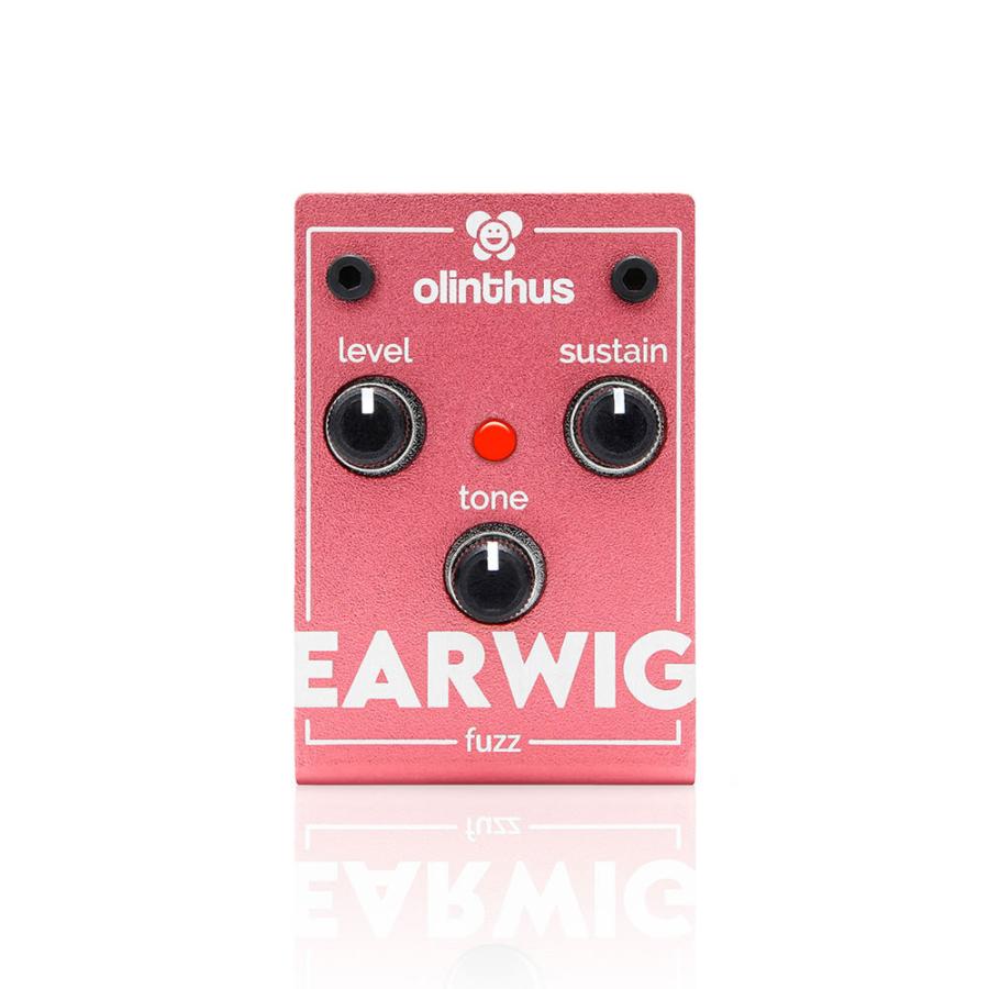 olinthus オリンサス Olinthus Earwig 超小型 エフェクトペダル マフ系ファズ : 島村楽器Yahoo!店 - 通販 ...