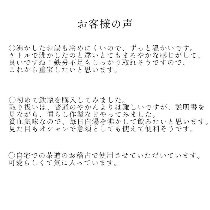 岩鋳 Iwachu 鉄瓶兼用急須 5型新アラレ 黒焼付 0.65L ホーロー無し 直火可 南部鉄器 12802 ギフト 実用的 内祝 お返し お祝い クリスマス プレゼント :Iwachu ...