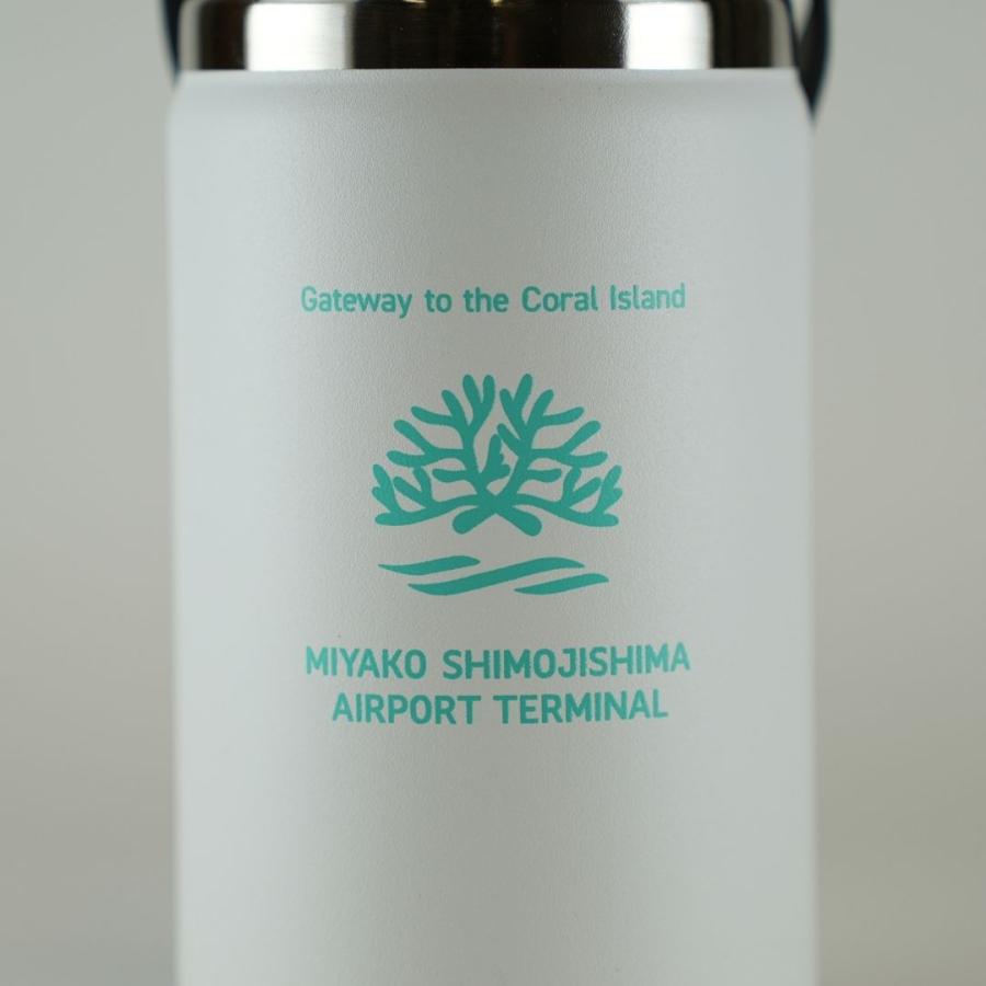 HYDRO FLASK 限定 コラボ おしゃれ 蓋付き 小さめ 保冷 保温 HYDRO FLASK 限定 コラボ おしゃれ 蓋付き 小さめ 保冷 保温