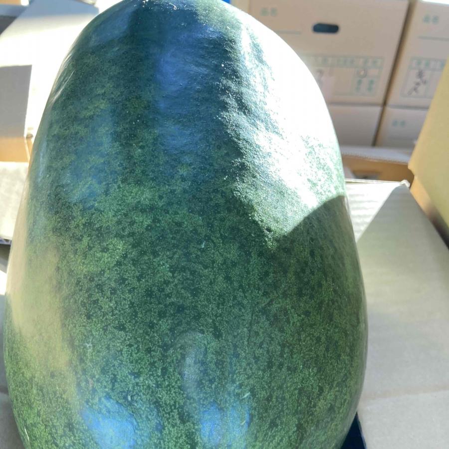 豊橋産 冬瓜（琉球） 1玉 約2kg〜3kg : しもさわ青果販売 - 通販 - Yahoo!ショッピング