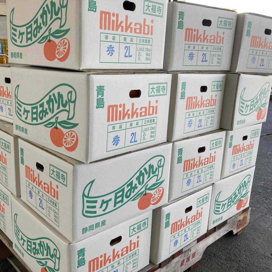 訳あり 三ケ日青島 2Lサイズ 約6kg : compass1705994363 : しもさわ青果販売 - 通販 - Yahoo!ショッピング