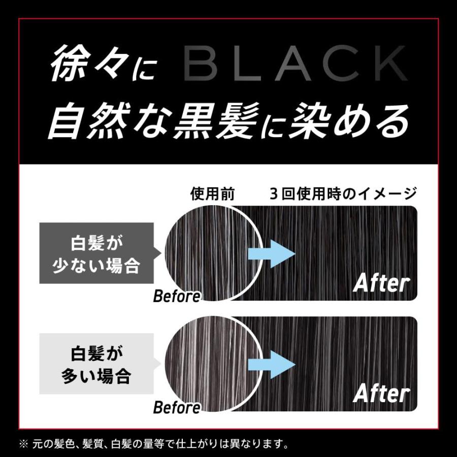 サクセスブラック ふんわり仕上がるカラートリートメント 約7回分 白髪ケア カラートリートメント : ショップフジ - 通販 - Yahoo!ショッピング