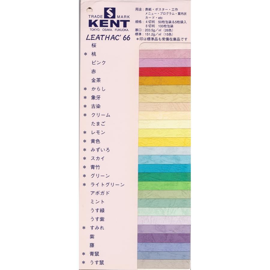 エスケント 色画用紙 レザック66 175kg 四切 あおたけ 50枚 1431104 : SHINONヤフーショップ - 通販 - Yahoo!ショッピング