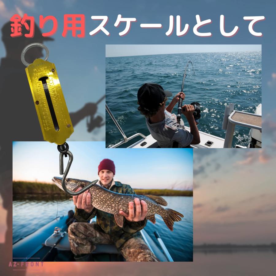 AZ-FRONT バネばかり 手ばかり 平面目盛板 重量計 吊り下げ 計量器 (50kg) : Shining Today - 通販 - Yahoo!ショッピング