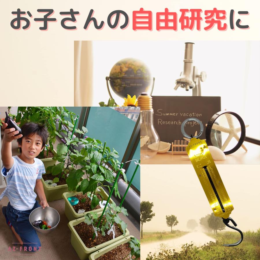 AZ-FRONT バネばかり 手ばかり 平面目盛板 重量計 吊り下げ 計量器 (50kg) : Shining Today - 通販 - Yahoo!ショッピング