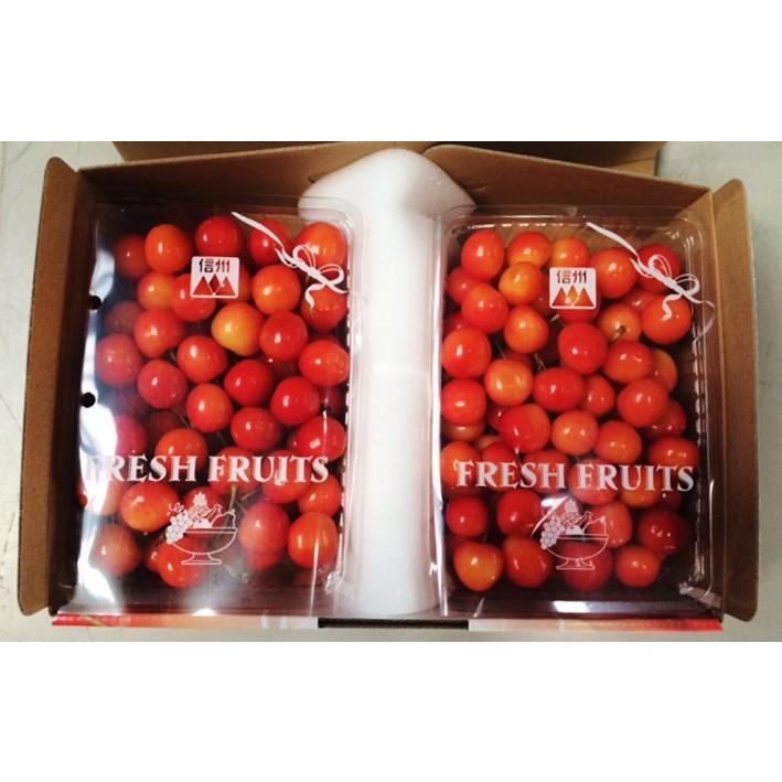 予約販売！長野県産 さくらんぼ秀品(ご家庭用) 1kg No.080 : 信州旬彩果房 - 通販 - Yahoo!ショッピング