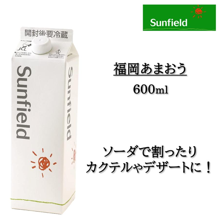 Sunfield（サンフィールド） 福岡あまおう 600ml シロップ 三田飲料 : ebisu 塩田屋 酒Net - 通販 - Yahoo ...