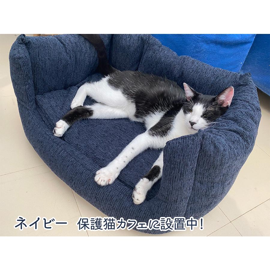 【予約販売】頑丈・洗えるペットベッド DoggyBase 極上ベッド ドギーベース【同梱B】 : ShippoTV通販部 - 通販 - Yahoo!ショッピング