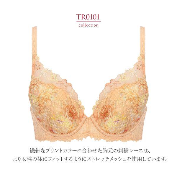 トリンプ Triumph TR0101 レッドレーベル バイ トリンプ ブラジャー DEF 単品 :0510216797DEF:SHIROHATO(白鳩) - 通販 - Yahoo!ショッピング