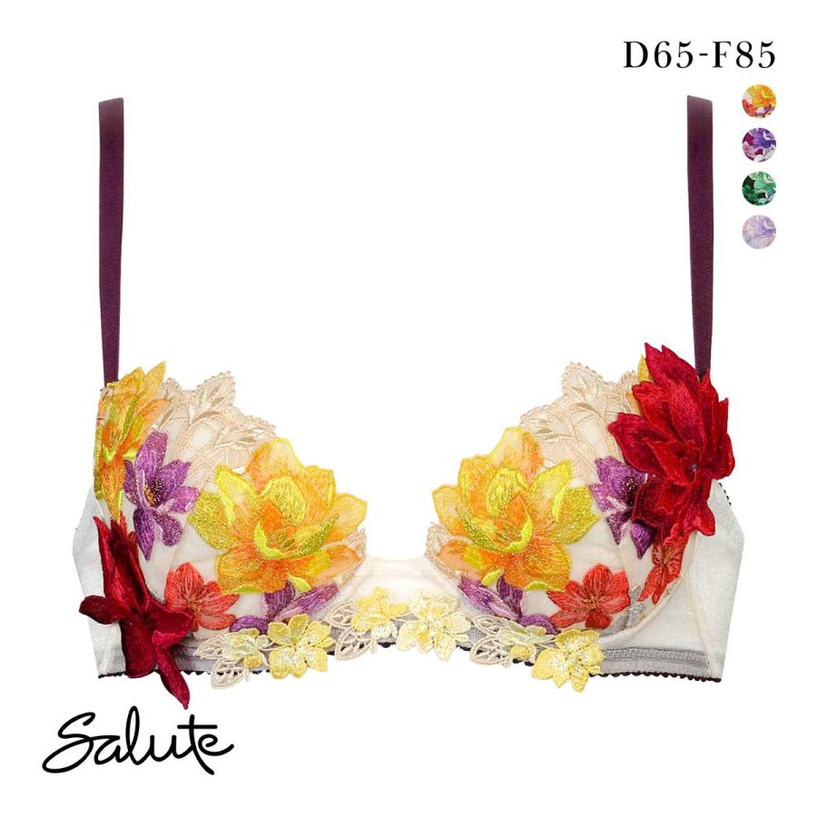 サルート ワコール Wacoal Salute 30G P-UP ブラジャー DEF サルート ワコール Wacoal Salute 30G P-UP ブラジャー DEF