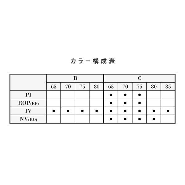 ワコール Wacoal サルート Salute 22AWフェア 73G BTJ273 BTJ473 BTJ773 P-UP ブラジャー BC プッシュアップ 単品 谷間 ...