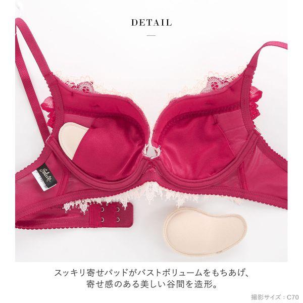 ワコール Wacoal サルート Salute 40周年 84G 23SS BTJ484 VIVA LINE ブラジャー DEF ビバライン 谷間 単品 :40BTJ484DFW2 ...