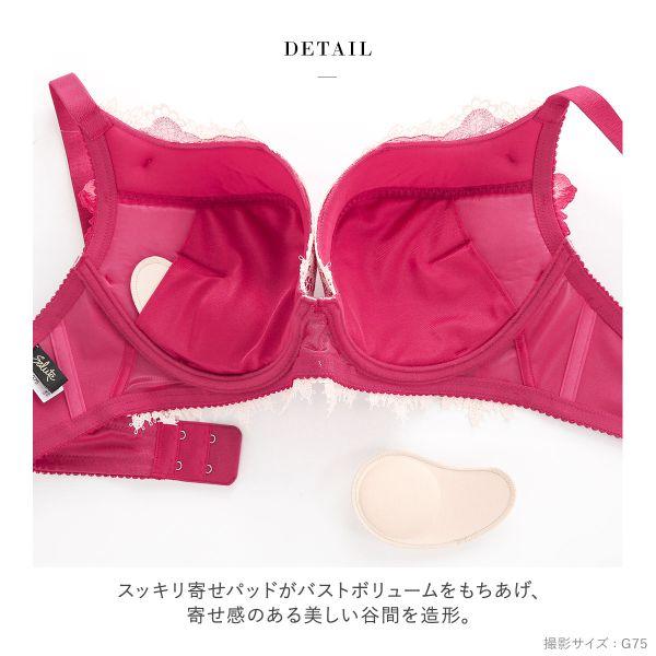 ワコール Wacoal サルート Salute 40周年 84G 23SS BTJ484 VIVA LINE ブラジャー G ビバライン 谷間 単品 :40BTJ484GW2 ...