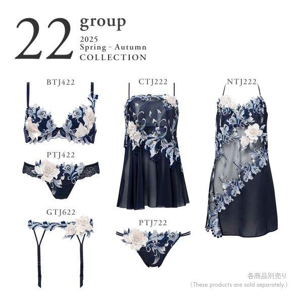 サルート ワコール 22グループ 22G ガーターベルト ランジェリー M Wacoal Salute GTJ622 25AW先行プレステージ : SHIROHATO(白鳩) - 通販 ...