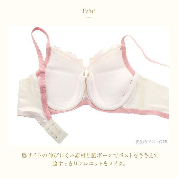 Lesiage ウイング Wing レシアージュ 2900シリーズ 小さく見せる フルカップブラジャー DEF PB2901 単品 大きいサイズ 24SS : SHIROHATO(白鳩 ...