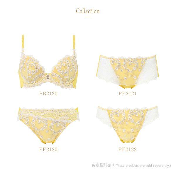 Lesiage ウイング レシアージュ 2120シリーズ ショーツ M L ラインレス ヘム Wing 25SS : SHIROHATO(白鳩) - 通販 - Yahoo!ショッピング