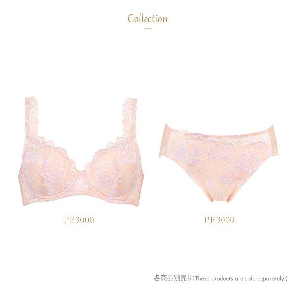 Lesiage ウイング Wing レシアージュ ChouChou de Lesi PB3000 ショーツ ML 単品 : SHIROHATO(白鳩) - 通販 - Yahoo!ショッピング