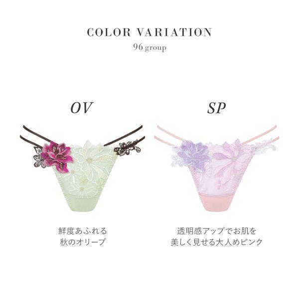 ワコール Wacoal サルート Salute 23AW 96G PTJ496 Tバックショーツ ML 単品 シーズン :40PTJ496W:SHIROHATO(白鳩) - 通販 ...