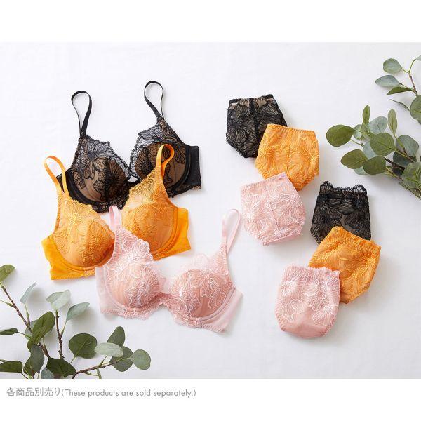 グンゼ GUNZE トゥシェ Tuche more more sheer BRA ペアショーツ レディース ひびきにくい ヘム 単品 ...