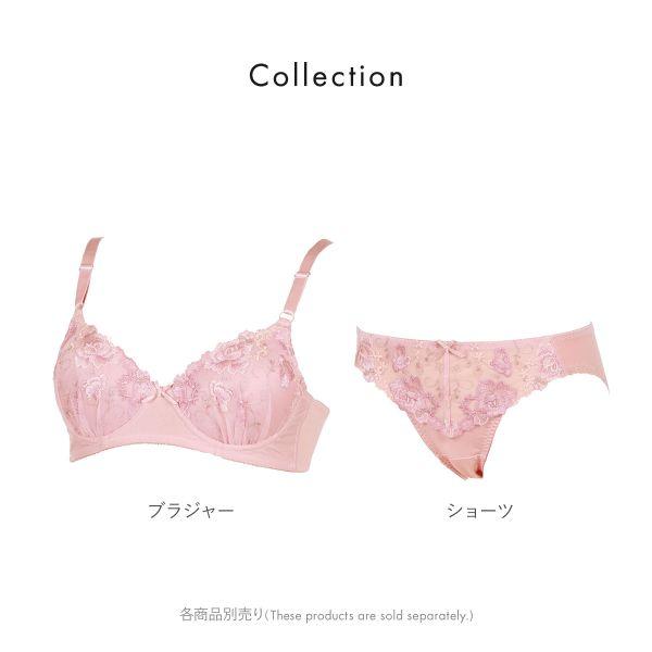 ATSUGI アツギ イーセレクト e-select シームレスブラ コーディネート ショーツ スタンダード 単品 : SHIROHATO(白鳩) - 通販 - Yahoo!ショッピング