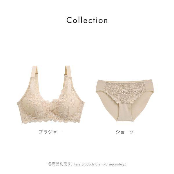 SHIROHATO サンエイ SANEI なめらかFit コーディネートショーツ フロントレース M L LL 単品 ひびきにくい くいこみにくい 黒ずみ防止 爆買 : SHIROHATO ...