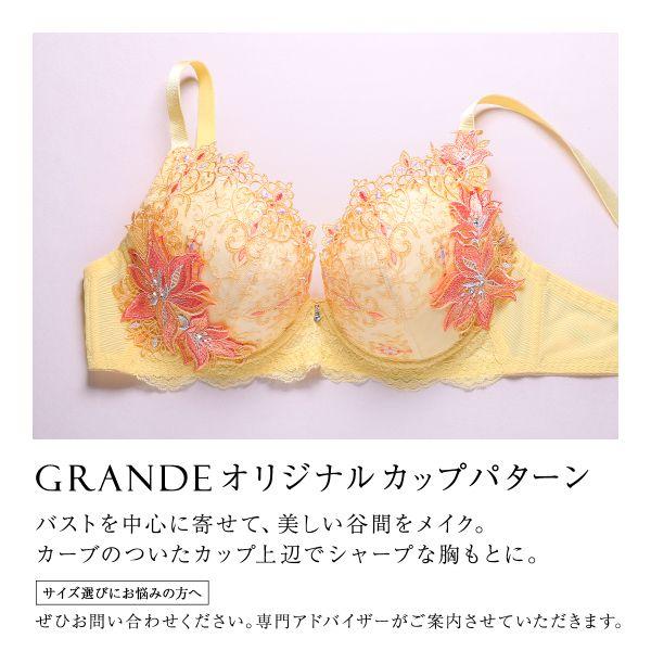 HIMICO GRANDE 002 ブラジャー 大きいサイズ GHI 65-85 Giglio Regina 単品 グラマーサイズ : c2223hmg002br : SHIROHATO(白鳩 ...