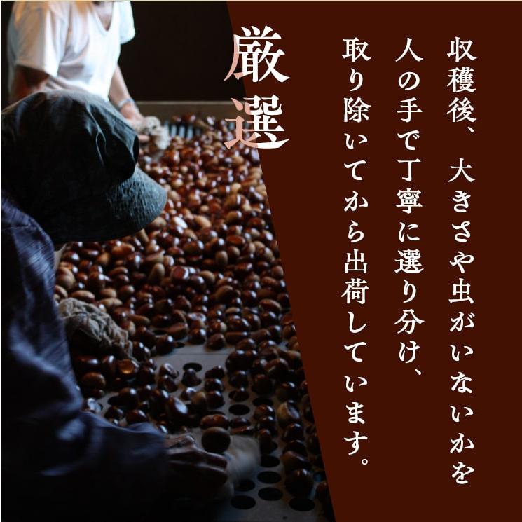 【9月中旬以降順次発送】愛媛県城川町産の生栗【銀寄栗】2L / 3Lサイズ（1kg〜4kg）(3,830円〜） : 城川ファクトリー - 通販 - Yahoo!ショッピング