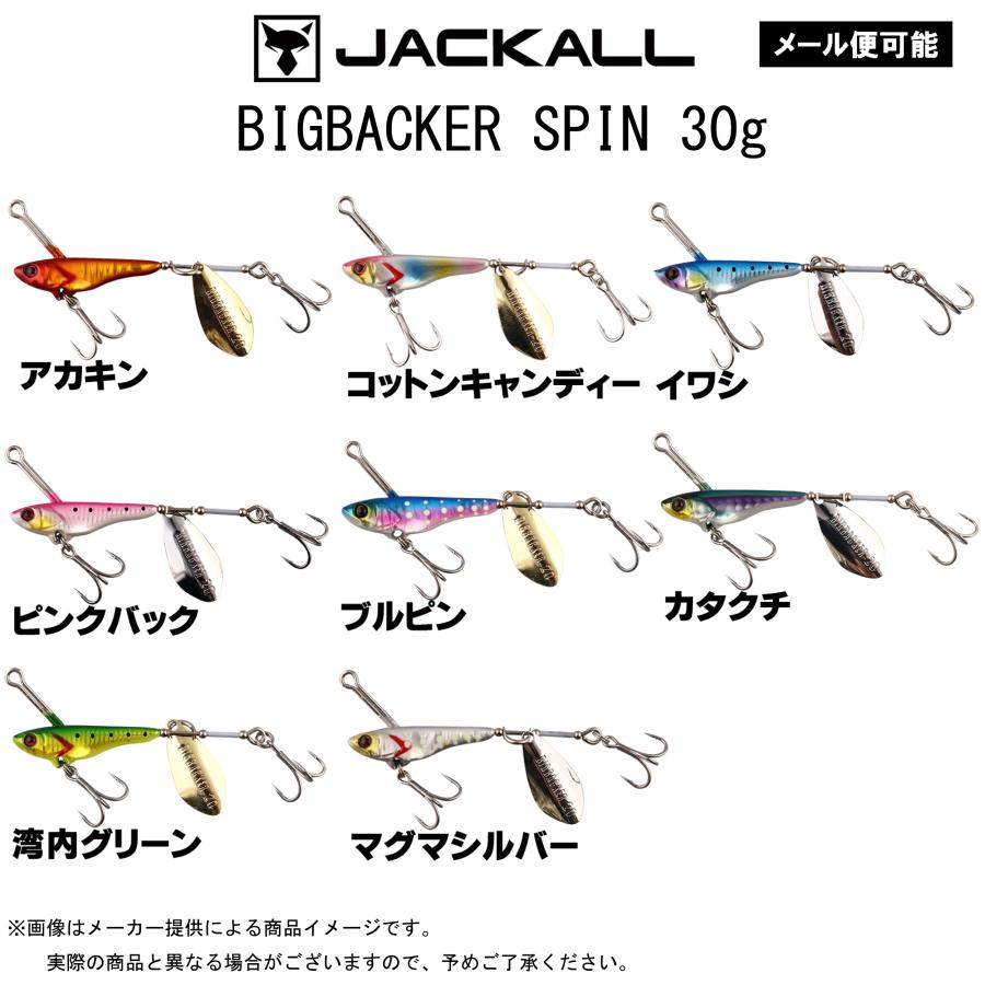 JACKALL（ジャッカル） 【メール便可】 BIGBACKER SPIN ビッグバッカースピン 30g(ブレードスピン)(シーバス・青物・ライトショアジギング)(別店舗発送商品)- : 自然 ...